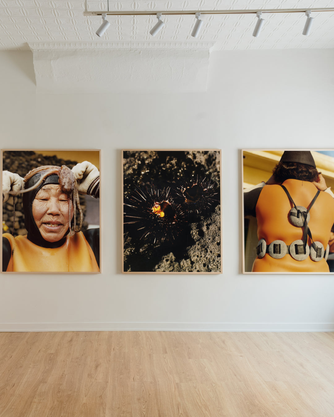 Peter Ash Lee | The Last Mermaid – Lyle Gallery